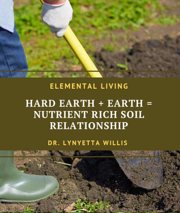 Part 6 of 6: End Teen Defiance - Till the Earth | Dr Lynyetta Willis
